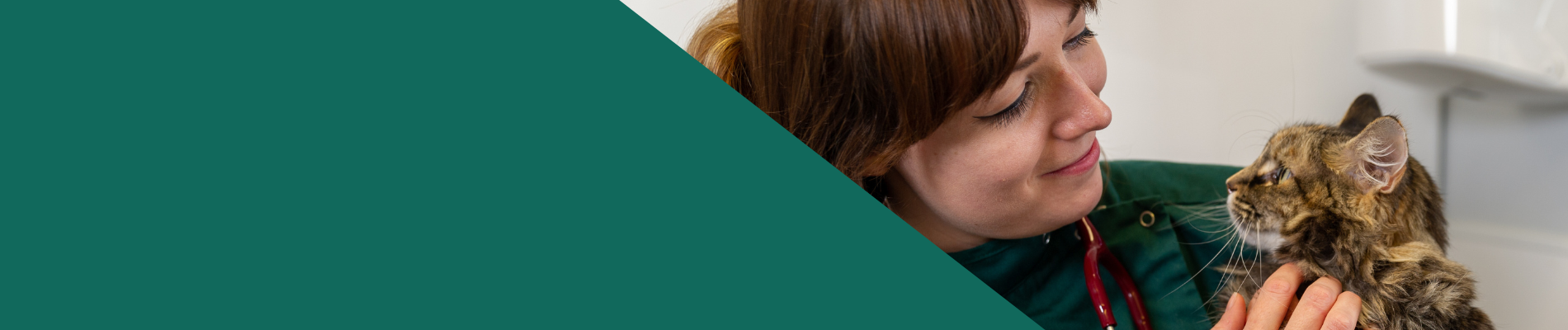 Emergency Vet | Care Vets that Care 24 Hours | 24 Hour Vetcare