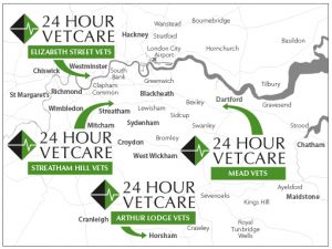 Vets that Care 24 Hours | Emergency Vets Near Me | 24HourVetcare